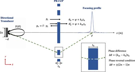 菲涅尔波带板透镜中的声学聚焦增强。 scientific reports x mol