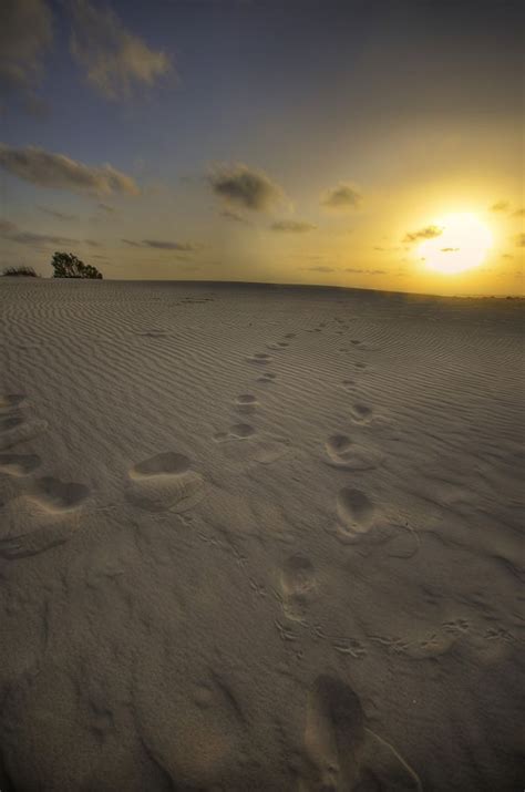 무료 이미지 바닷가 경치 바다 연안 모래 수평선 일몰 니콘 탐런 D5100 인물 서식지 응시 자연 환 경 바람 지형 3696x2448