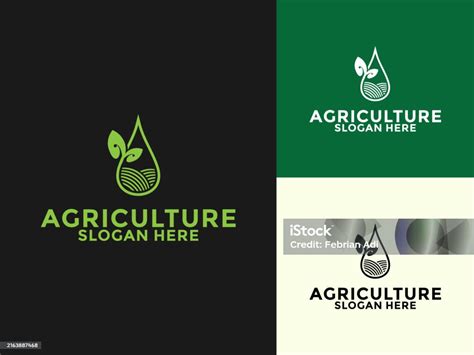 농업 농업 농장 밭 자연 수확 농부 등을 위한 밭과 식물 벡터 로고 디자인 템플릿이 있는 물방울 개념에 대한 스톡 벡터 아트 및 기타 이미지 Istock