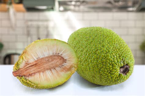 Já Conhece Os Benefícios Da Fruta Pão Não Perca Tempo E Saiba Porque