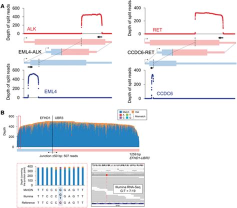 Cancer Amplicon Nanopore Sequencing Enseqlopedia