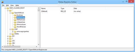 Download Pelles C 9 00