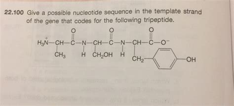 Solved Give A Possible Nucleotide Sequence In The Template