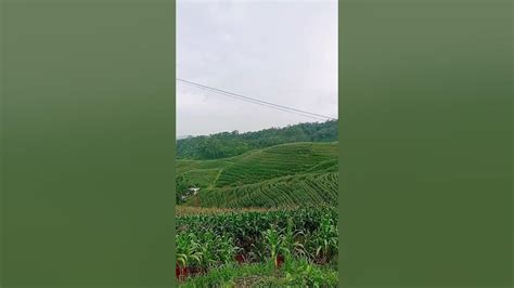 Kene Kene Kene Tempat Hiliing Paling Syahdu Desaku Youtube