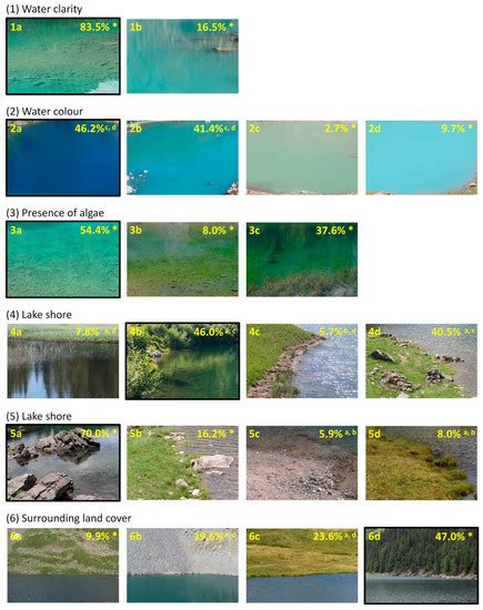 A Gem Among The Rocks”—identifying And Measuring Visual Preferences