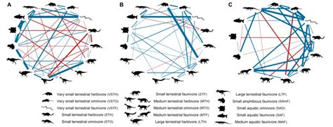 partial correlation networks before and after the end cretaceous mass
