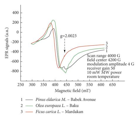 Epr Spectra Of Leaves Pinus Carica M Ficus Carica And Olea Europea L Download Scientific