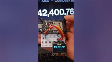 Bitcoin Price Youtube