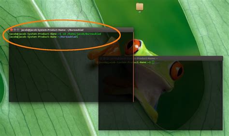 How To Open Nautilus Directory In Current Terminal Ask Ubuntu