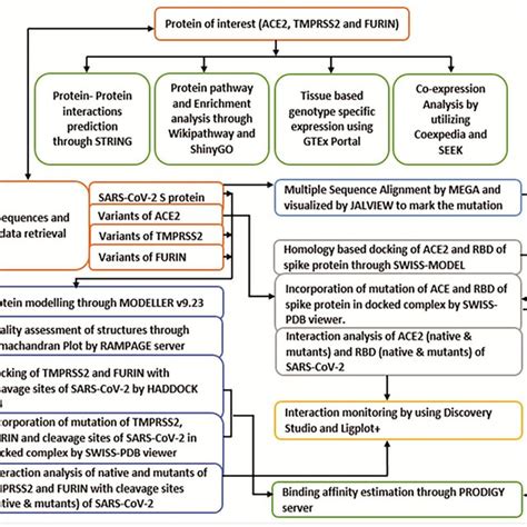 Schematic Diagram Summarizing The Methods Download Scientific Diagram