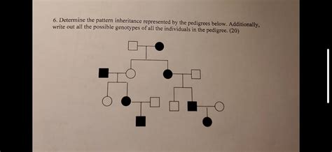 Solved Determine The Pattern Inheritance Represented By Chegg