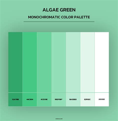Monochromatic Color Palettes And Scheme Combinations