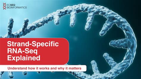 Ngs Bioinformatics Strandspecific Rnaseq Sequencing Genomics Ecseq Bioinformatics Gmbh