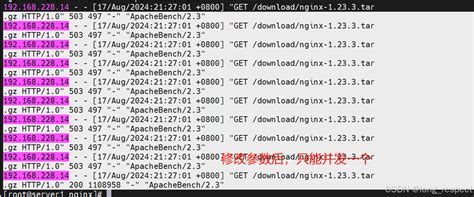 Nginx安全控制 Csdn博客