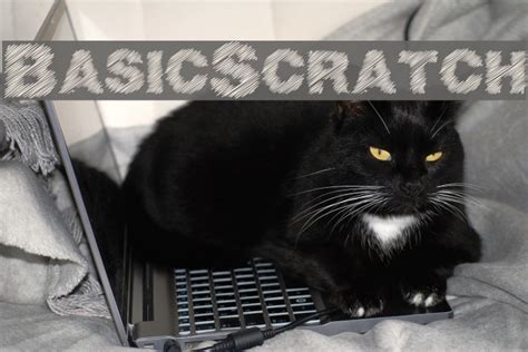 BasicScratch Font FFonts Net