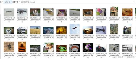 Imagenet1k的下载与使用imagenet 1k Csdn博客
