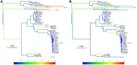 Gene Gain And Gene Loss History Mapping Of The Gene Gain A And Gene