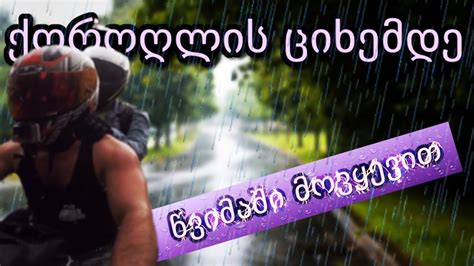 😻 კატაობა მოტოდღე With Sungirl Youtube