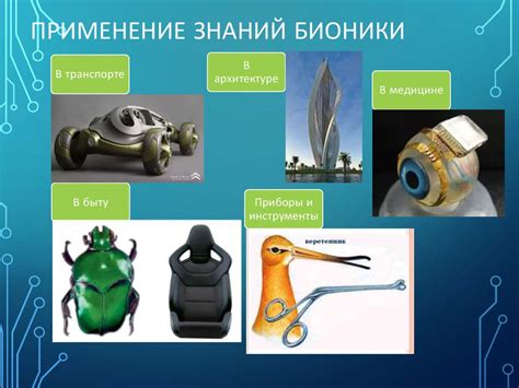 Бионика. Направления бионики - презентация онлайн