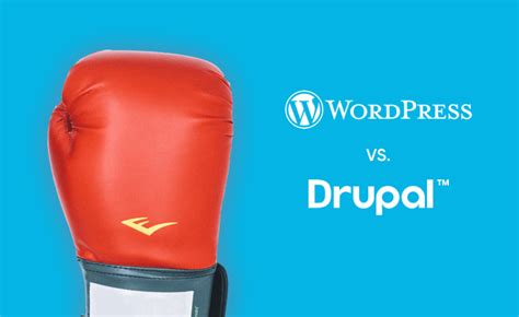 Which Cms Is Best For B2b Wordpress Vs Drupal Claritydx