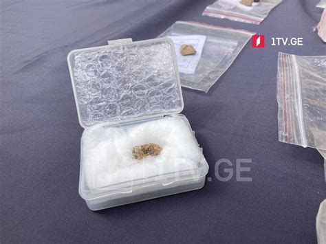 არქეოლოგებმა დმანისში 1 8 მილიონი წლით დათარიღებულ ფენებში უძველესი ადამიანის ქვედა ყბის კბილი