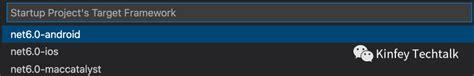 用 Visual Studio Code 做基于 NET MAUI 跨平台移动应用开发 董川民