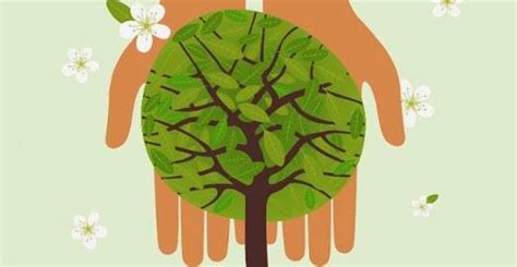 Ccpb Srl Bologna Città Metropolitana Di Bologna Qualità E Normativa