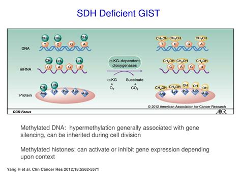 Ppt Annual Gist Breakfast Powerpoint Presentation Free Download Id 2144580