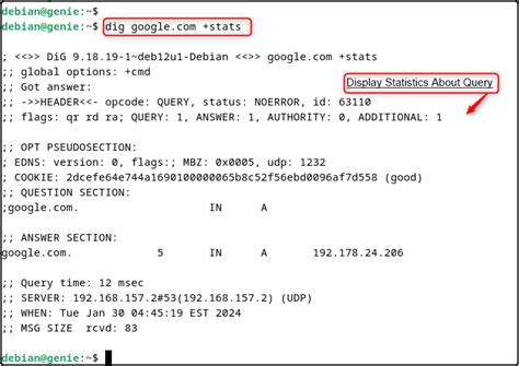 How To Install Dig On Debian Linux Genie