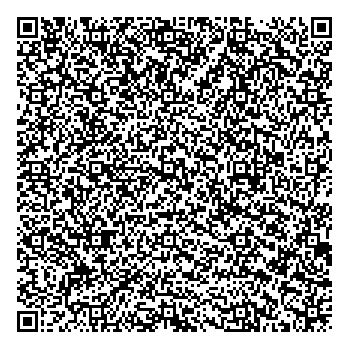 ArrayIndexOutOfBoundsException Issue Zxing Zxing GitHub
