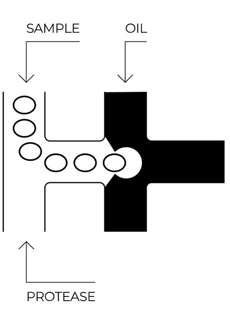 Tapestri Single Cell Sequencing Platform Mission Bio