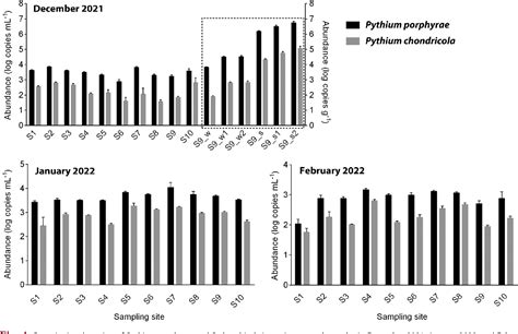 Figure 4 From Quantitative Detection Of Pythium Porphyrae And Pythium
