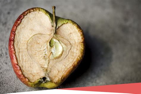 Ulysseus Research Summit Towards Innovations In Ageing And Well Being