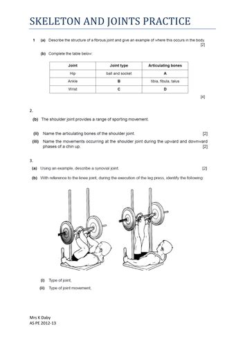 Gcse Pe Skeleton And Joints By Lgallagher22 Teaching Resources Tes