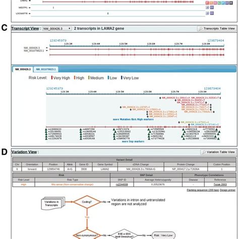 Example Output Pages For Visualized Annotation Result A Genome View