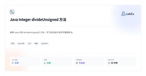 Java 中的无符号整数除法 Labex