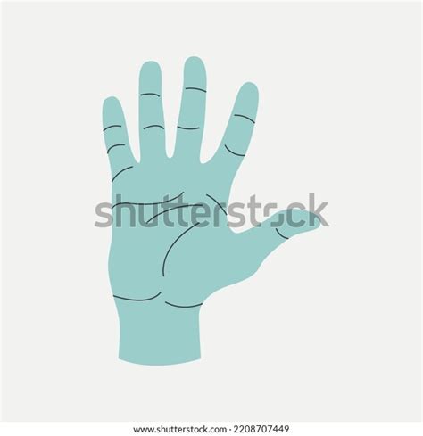Set Gestures Colourful Human Hands Counting Stock Vector Royalty Free 2208707449 Shutterstock