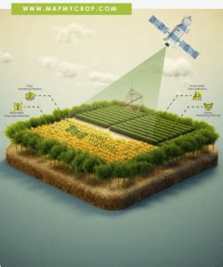 The Importance Of Real Time Crop Monitoring In Modern Agriculture Map My Crop
