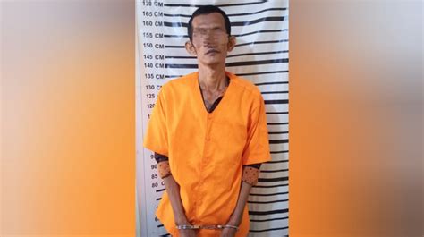 Aksi Perampok Bersajam Di Langkat Sekap Hingga Remas Remas Payudara Dan Kemaluan Emak Emak