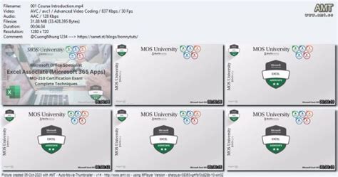complete techniques for mo 210 excel 365 apps certification softarchive