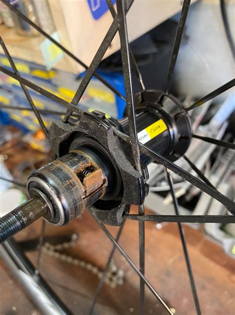 Freehubs Explained: How A Freehub Works, Body Types And Compatability ...