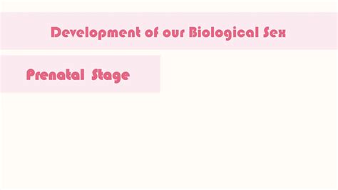 Sex Ppt Understanding The Self Nursing 1 Ppt