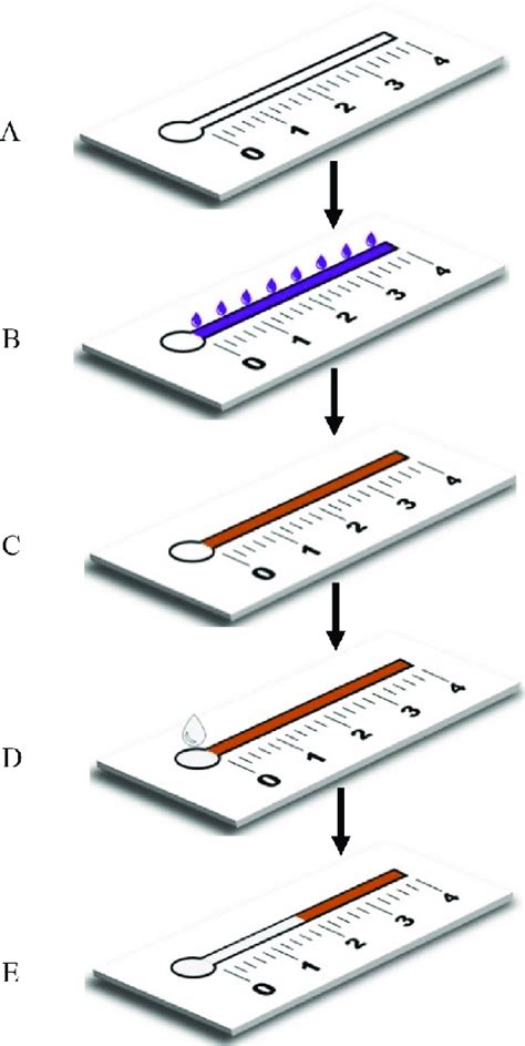 Schematic Diagrams Illustrating Ascorbic Acid And Captopril Assays With Download Scientific