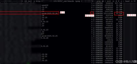 Elasticsearch集群扩容、节点替换、分片迁移elasticsearch扩容后分片迁移 Csdn博客
