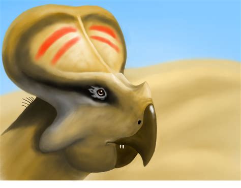 Protoceratops In The Desert By Adamsaurus02 On Deviantart