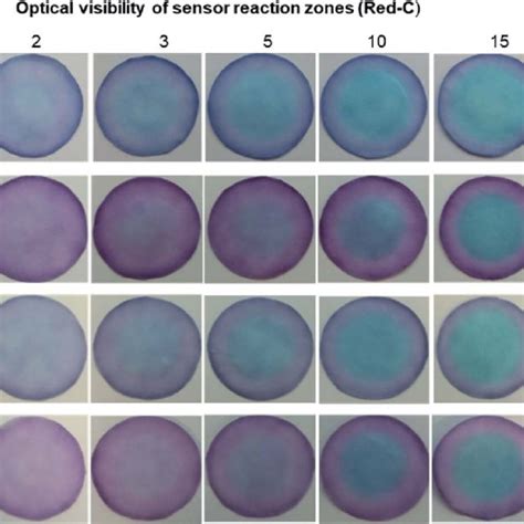 The Photos Of Red C Anthocyanin Based Paper Sensors After Exposure To Download Scientific