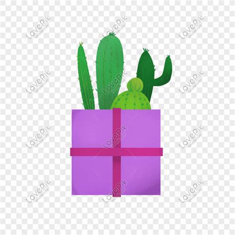 손으로 그린 선인장 Png 일러스트 무료 다운로드 Lovepik