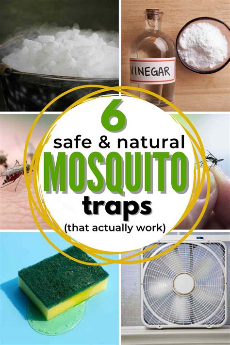 Easy Diy Mosquito Trap Ideas That Actually Work 50 Off