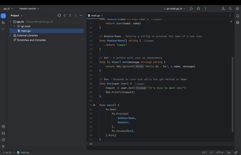 Go With Fx Jetbrains Guide