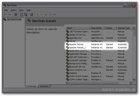 no good tips and tricks running two tomcat service instances on the same